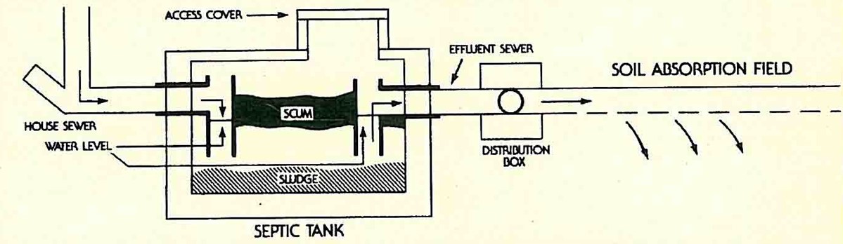 Septic system care and maintenance tips | News, Sports, Jobs ...